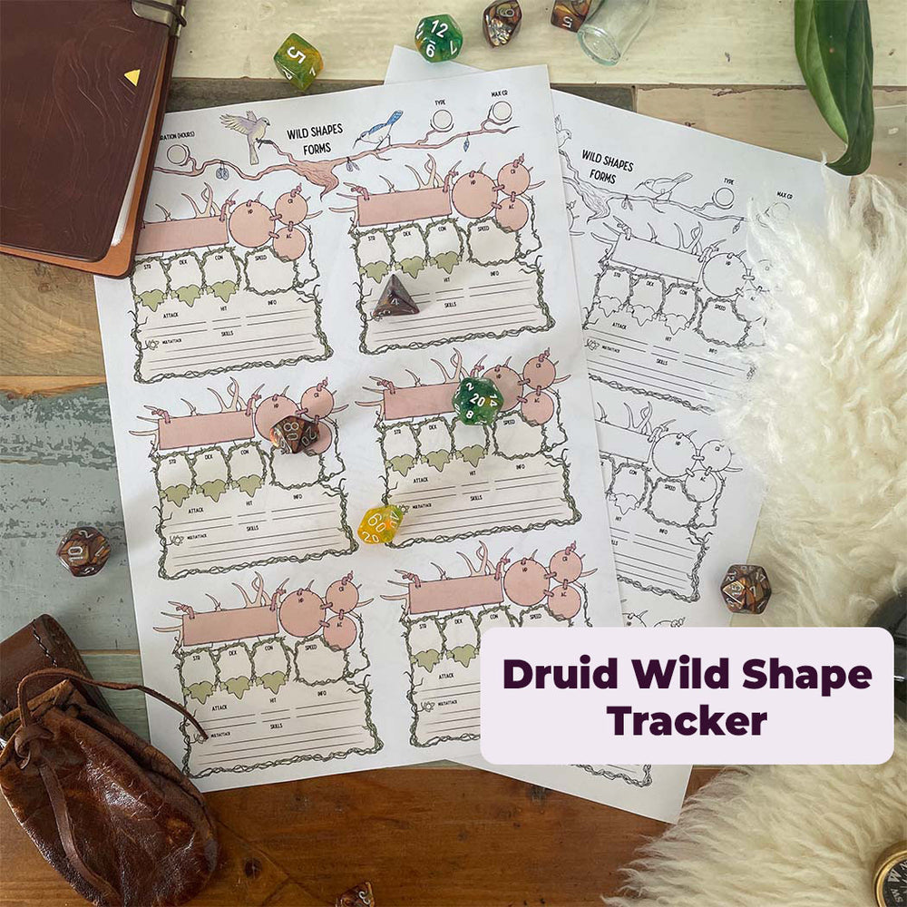 Adventurer's Starter Kit | D&D 5e for Beginners